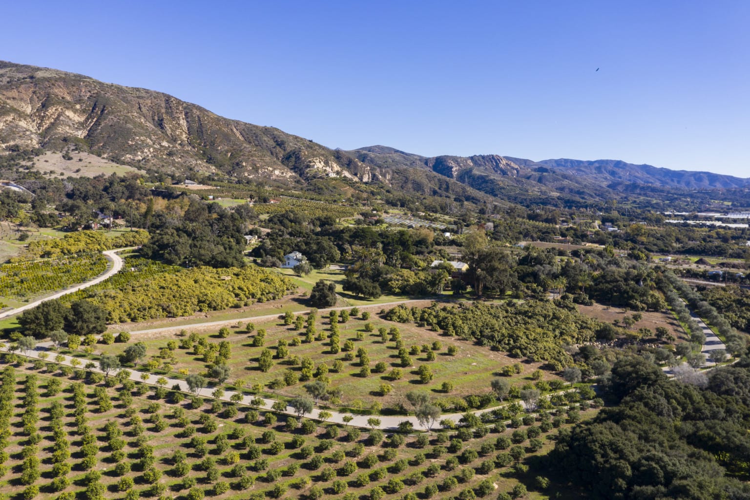 Black Opal Ranch – The Ebbin Group