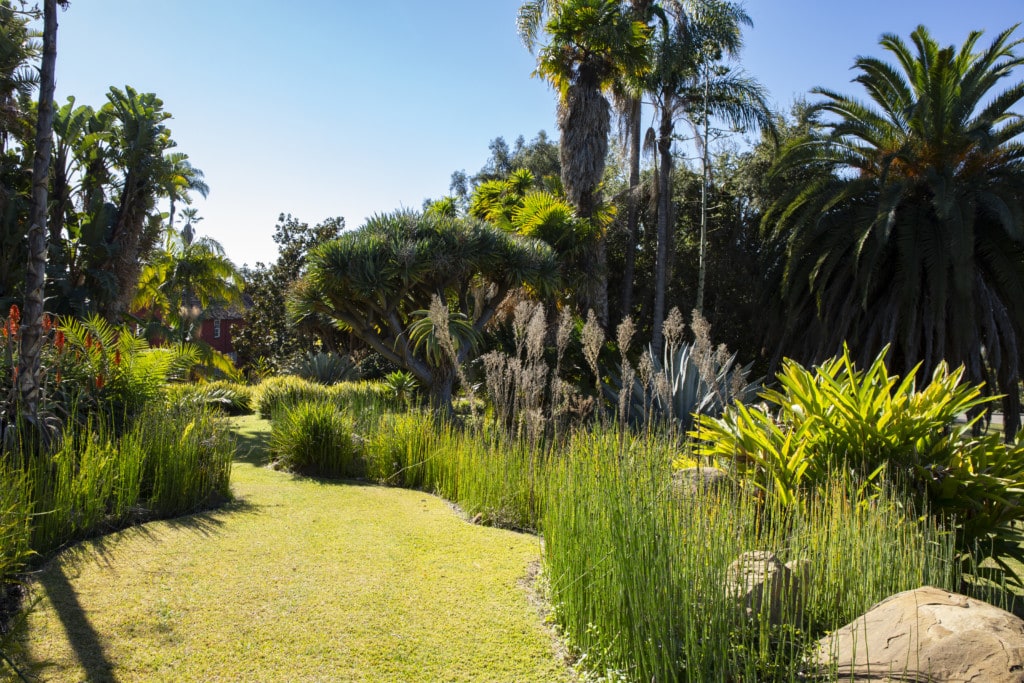 Black Opal Ranch – The Ebbin Group