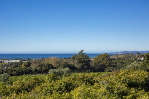 Black Opal Ranch – The Ebbin Group