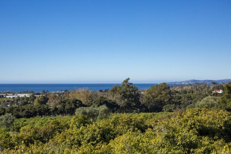 Black Opal Ranch – The Ebbin Group